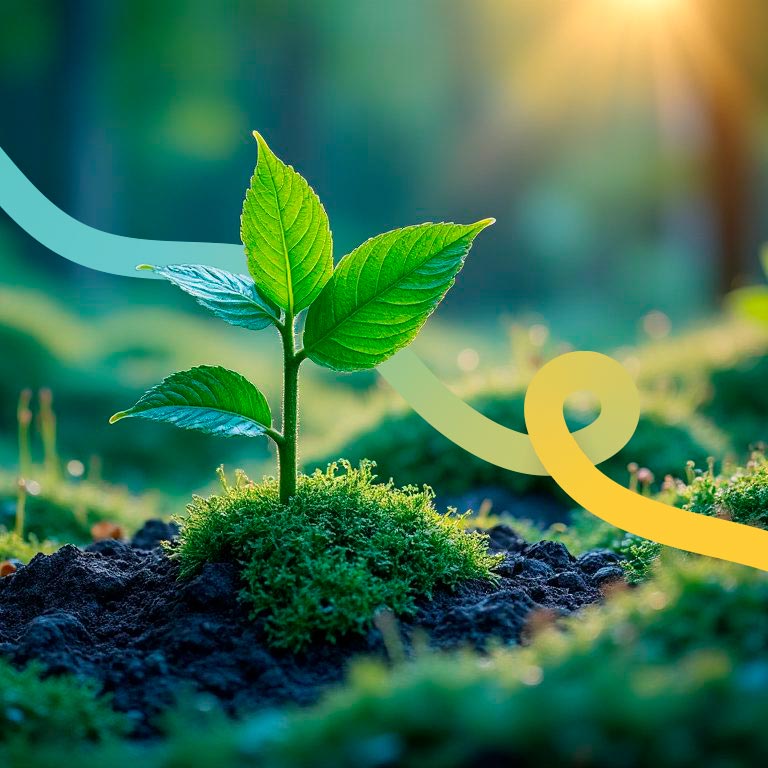 Loop | Affordable Refurbished Phones and Tech - Trusted Quality – Loop US